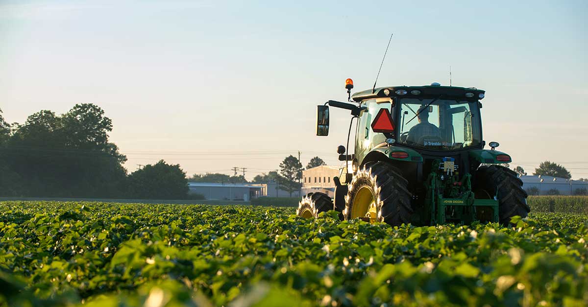 Integrated Crop Management | Plant and Soil Sciences | Mississippi ...