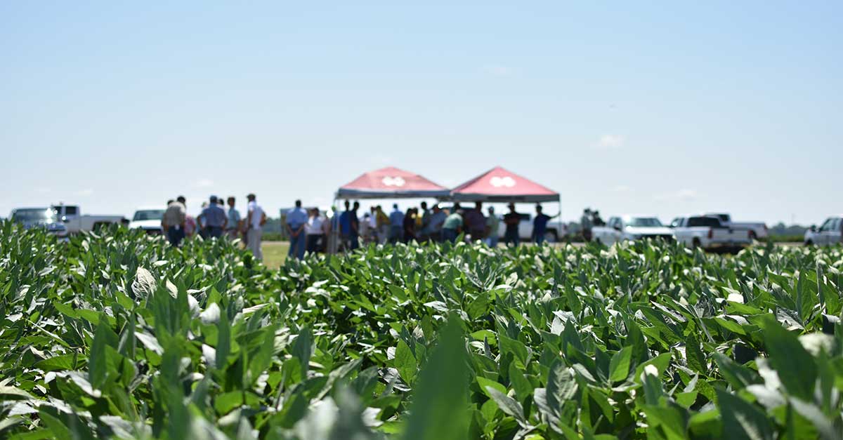 Extension | Plant and Soil Sciences | Mississippi State University